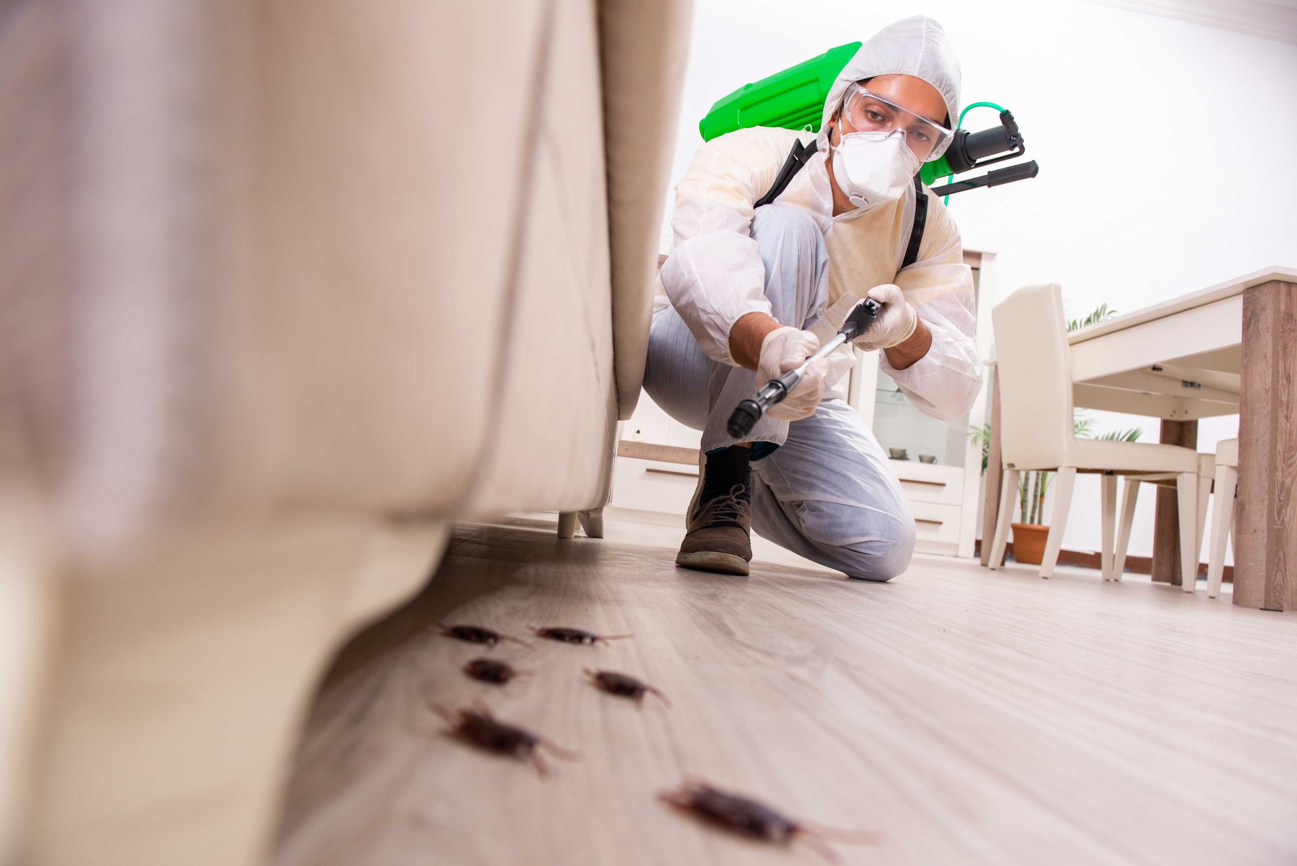 Professional termite inspections - Golf State Termite Experts